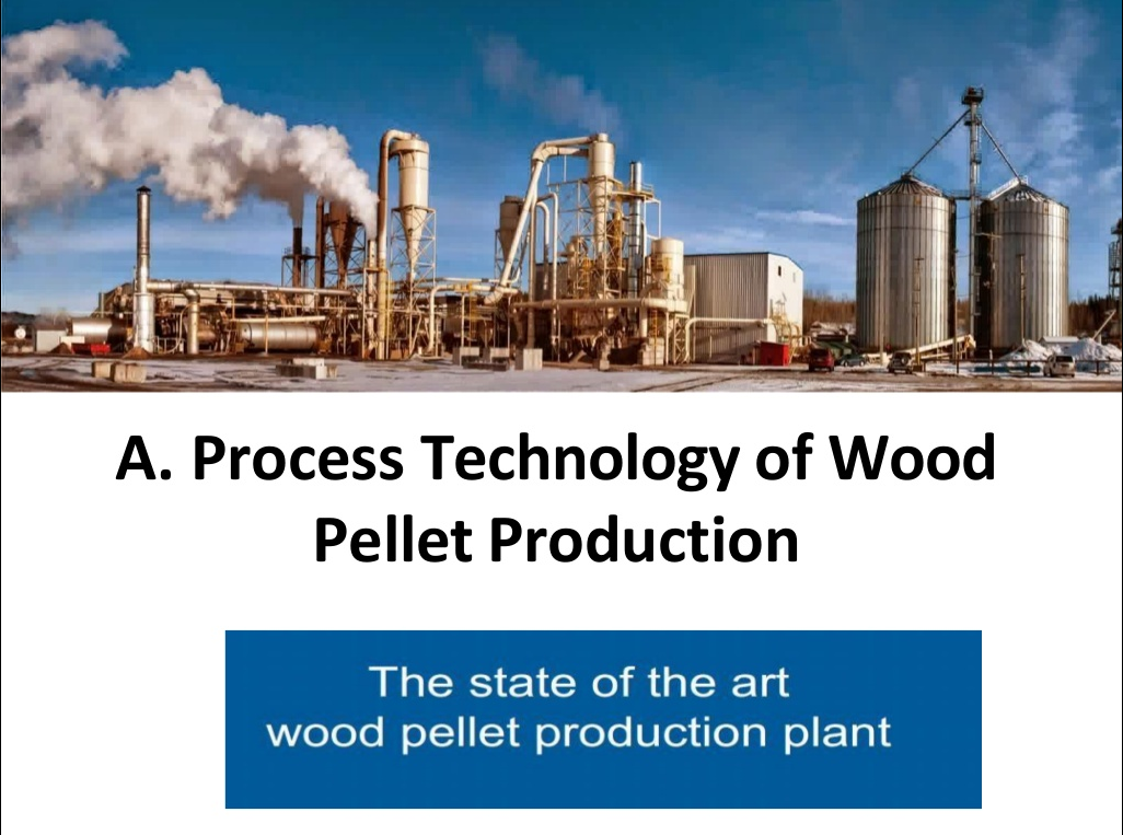 Production Process Wood Pellet From Wood Biomass +84962537439 bsrwood ...